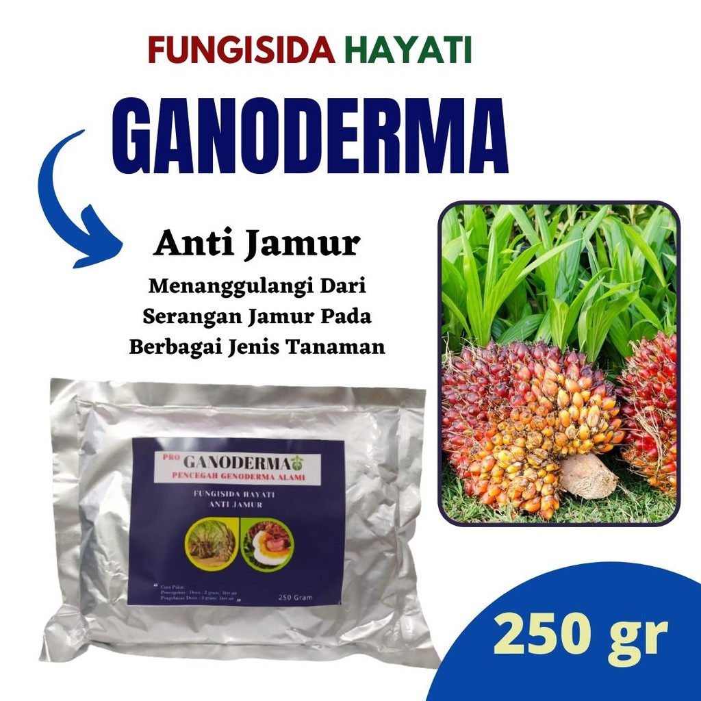 Jual Fungisida Hayati Ganoderma, Nutrisi Anti Jamur Cegah Busuk Akar ...