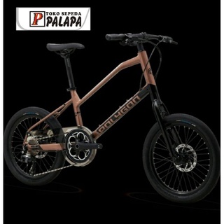 Jual SEPEDA MINIVELO 20 POLYGON ZETA 2 Mini Velo 2.0 | Shopee Indonesia