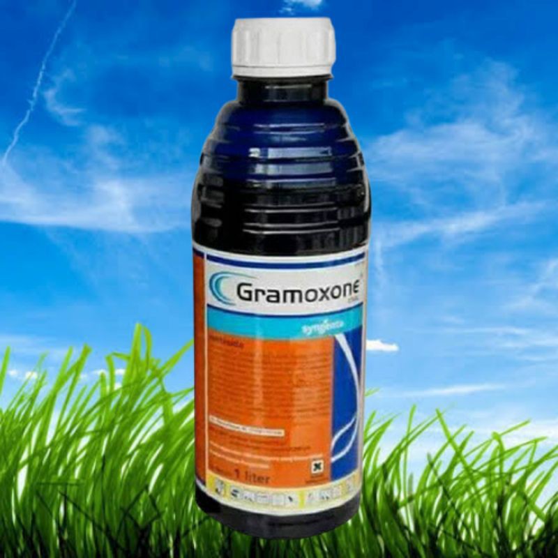 Jual HERBISIDA GRAMOXONE 1 L/racun rumput/pembasmi rumput/obat rumput ...
