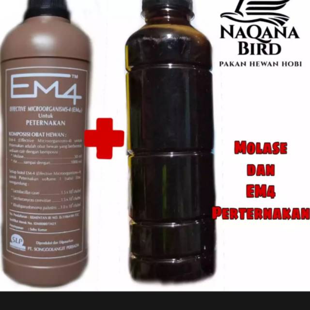 Harga Molase Terbaru Desember 2021 | BigGo Indonesia