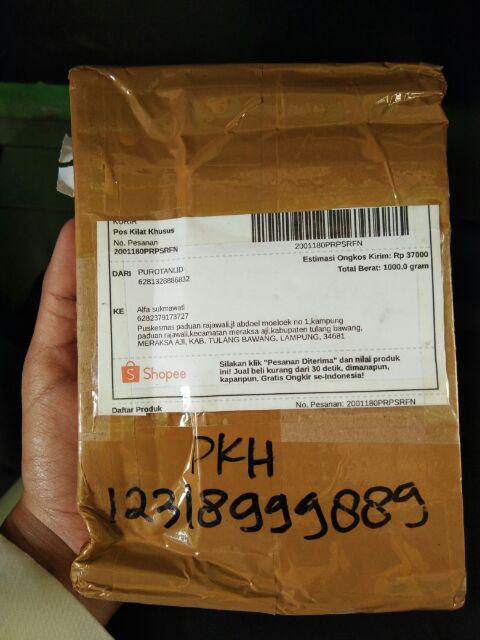 Bibit Biji Benih Sengon Albasia Murah | Shopee Indonesia