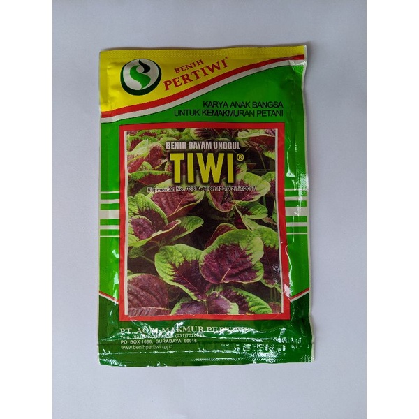 Jual Benih Bayam BiColor / Bayam Dwi Warna / Bayam Dua Warna Tiwi ...