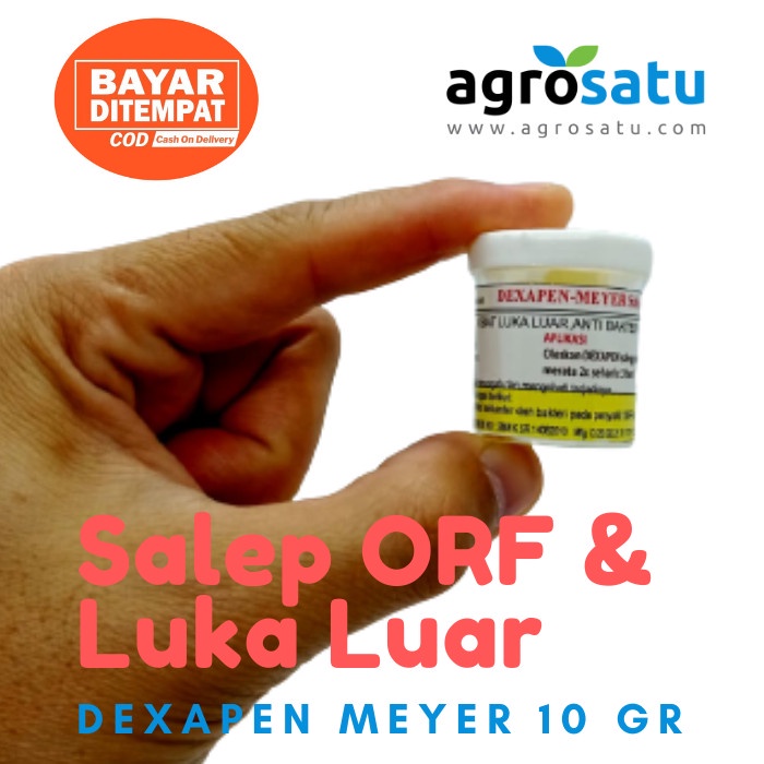Jual Obat ORF Dexapen Meyer - Salep Koreng Gudik Luka Luar Basah Untuk ...