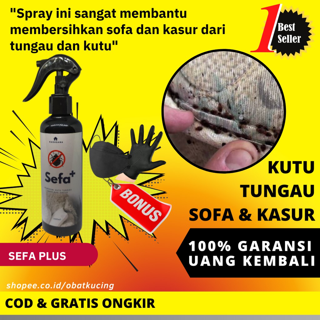 Jual Obat Spray Pembasmi Kutu Tungau Kasur dan Sofa SEFA PLUS Anti Kutu ...