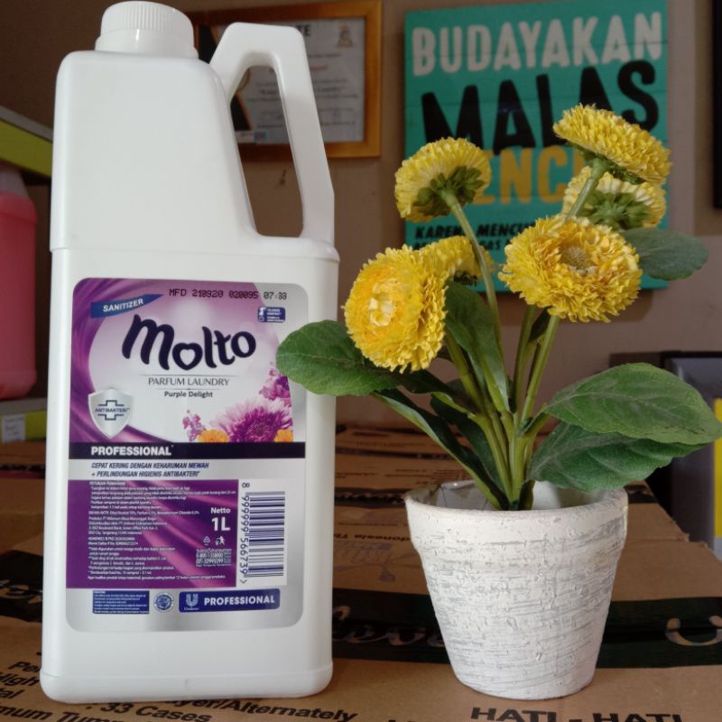 Jual Molto parfum profesional 1L | Shopee Indonesia