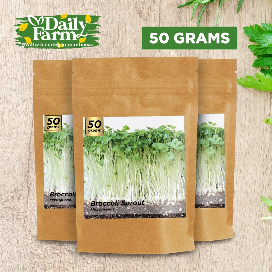 Jual Benih Microgreens BROCCOLI SPROUT Brokoli ( 50 GRAM ) Bulk Size | Shopee Indonesia