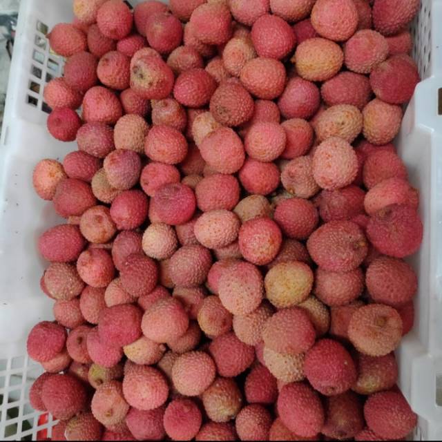 Jual Leci Bangkok ( STOCK BARU) | Shopee Indonesia