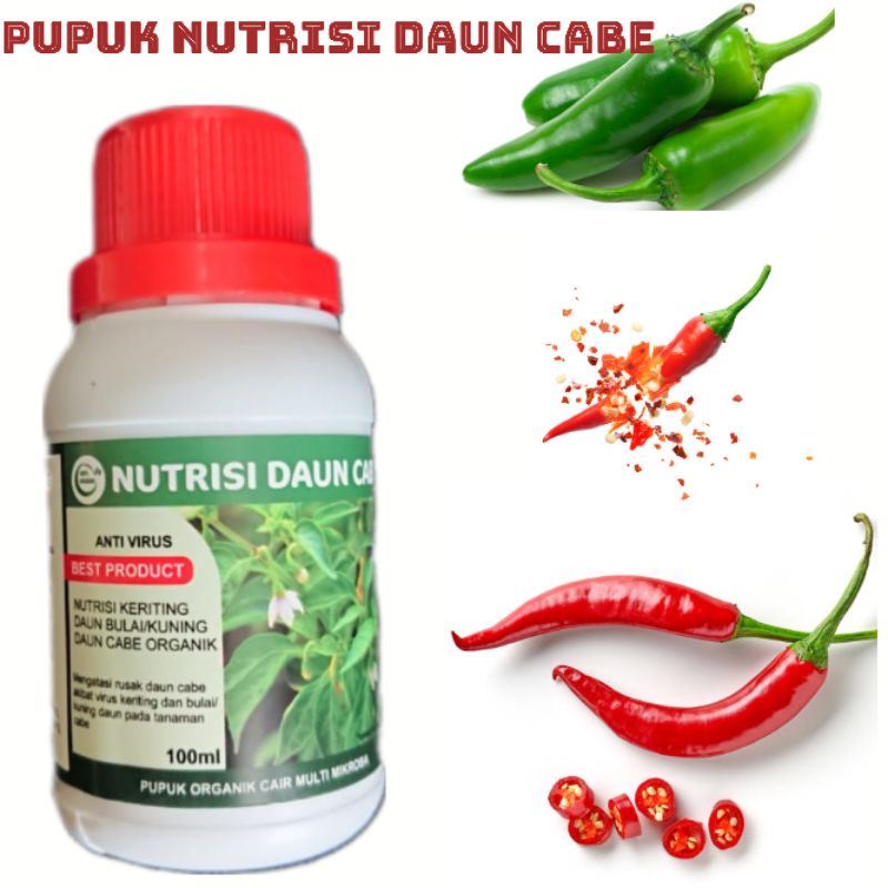 Jual Pupuk Organik Cair Anti Bulai Cabai Nutrisi Daun Untuk Mencegah ...