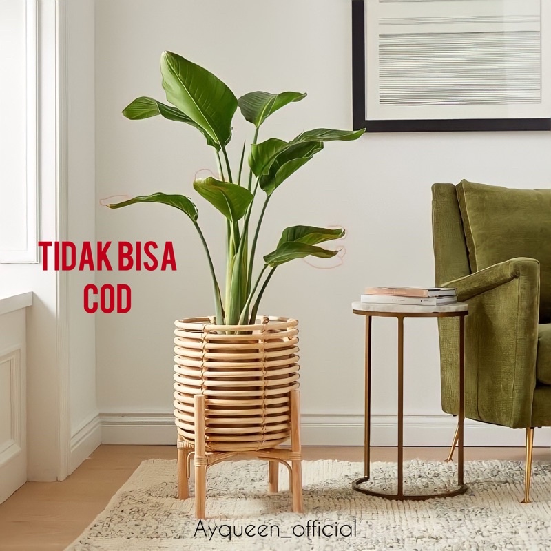 Jual PREMIUM STANDING POT ROTAN | POT ROTAN | VAS BUNGA | Shopee Indonesia