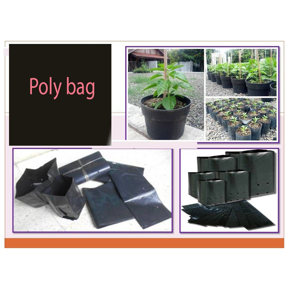 Jual Plastik Polybag Polyback Polibag Polibeg Polibek Tanaman 15 cm x ...