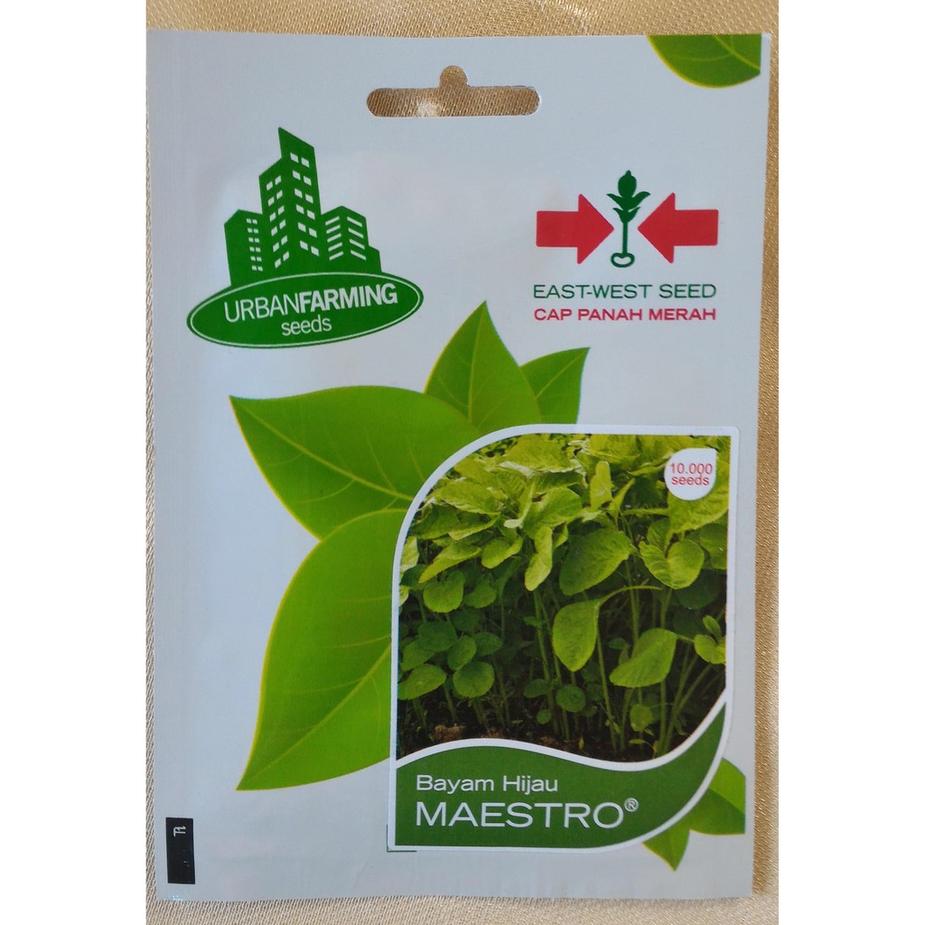 Benih Bayam Hijau MAESTRO | Shopee Indonesia