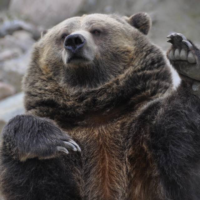 Produk Bakulan Purwokerto | Shopee Indonesia