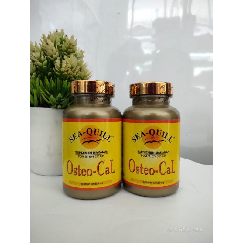 Jual OSTEO CAL 650 MG - 60 TABLET | Shopee Indonesia