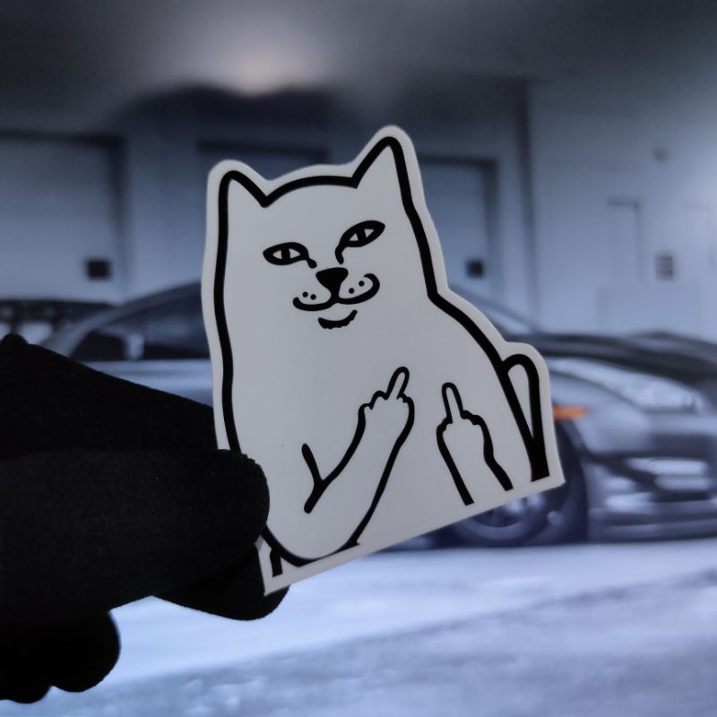Jual STICKER RIP N DIP KUCING | Shopee Indonesia