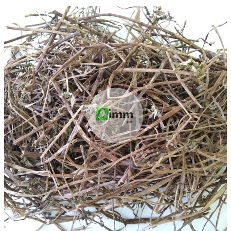 Jual DAUN MENIRAN KERING - SIMPLISIA DAUN MENIRAN - 100 GRAM | Shopee ...