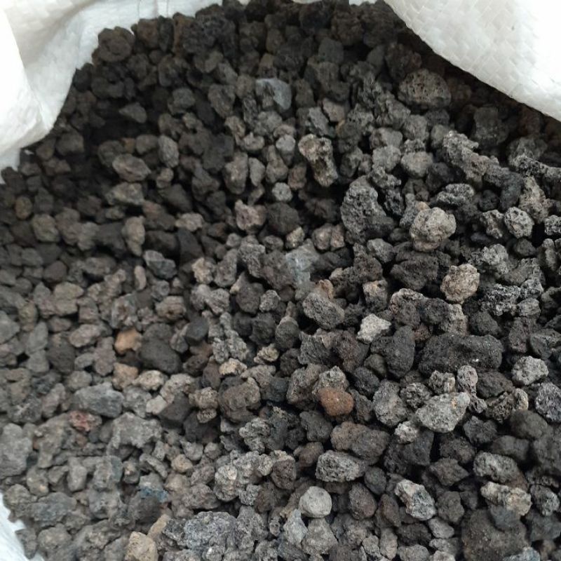 Jual media tanaman pasir malang | Shopee Indonesia