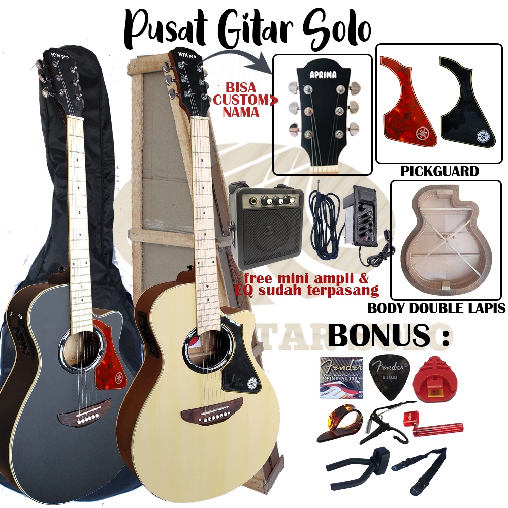 Jual Gitar Akustik Elektrik APX Equalizer 7545R Custom Free Packing Kayu | Shopee Indonesia