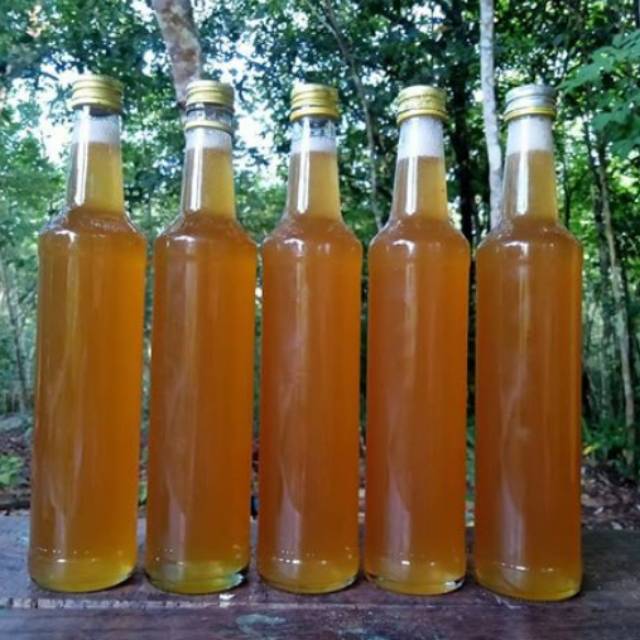 Jual Madu Tawon Asli 460'ml (Sebotol Marjan) | Shopee Indonesia