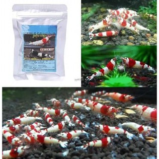 Jual Pakan udang hias shrimp cuisine food rcs red chery red crystal ...