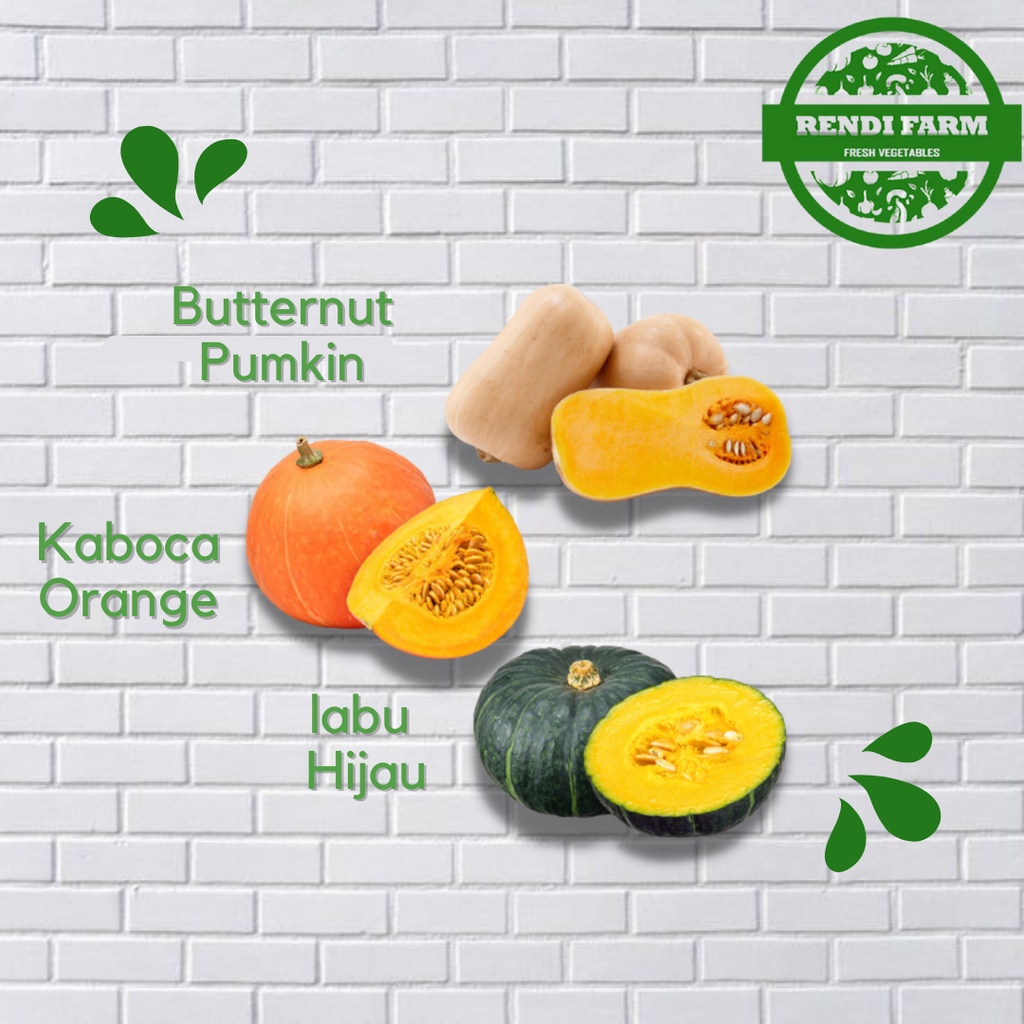 Jual BUAH LABU BUTTERNUT/ LABU MADU/ LABU KACOCA/ LABU JEPANG/ MPASI 1 ...