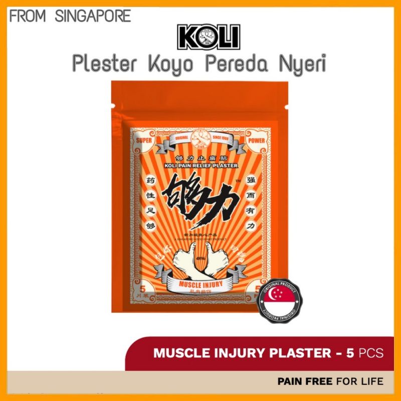 Jual IMPORT SINGAPORE - KOYO PLASTER MUSCLE INJURY PAIN RELIEF - 5 PCS ...