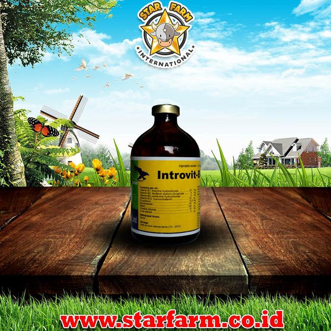 Harga Introvit-B-Complex Terbaru April 2024 |BigGo Indonesia