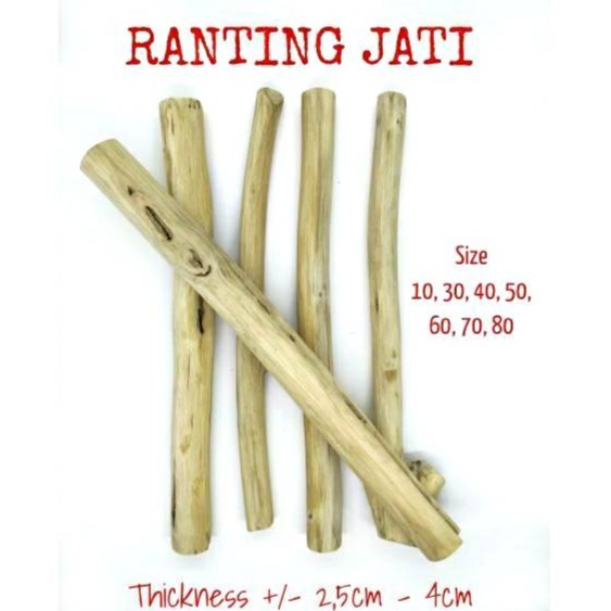Jual Ranting Jati | Kayu Jati 20cm-25cm (RANDOM) | Shopee Indonesia