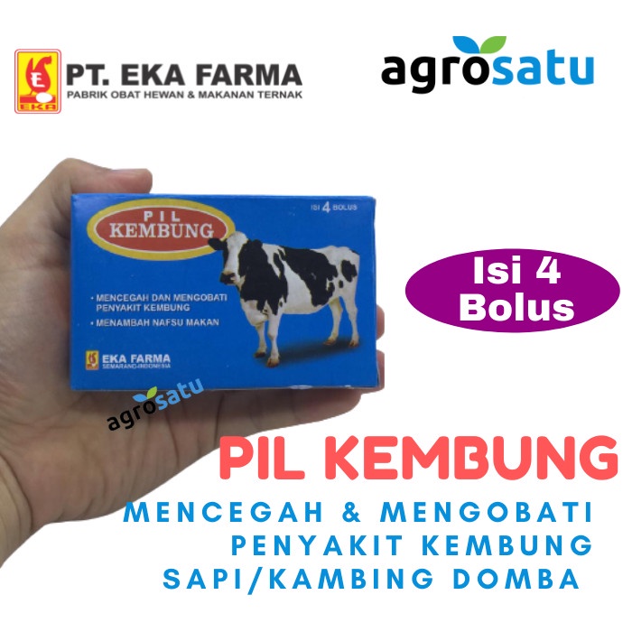 Jual Obat Pil Kembung Sapi Kambing Domba Eka Farma isi 4 Bolus ...