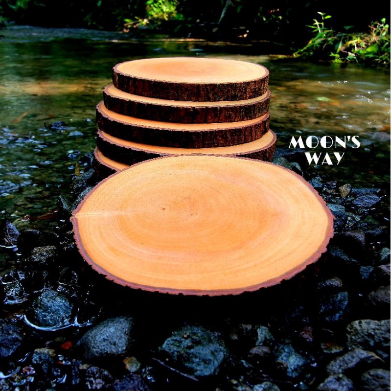 Jual Wood Slice 22 - 24cm | Tatakan Kayu Besar | Coaster Kayu | Log ...