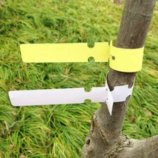 Jual Plastik Label Nama Tanaman 10 pcs Name Tag Identifikasi Tanaman | Shopee Indonesia