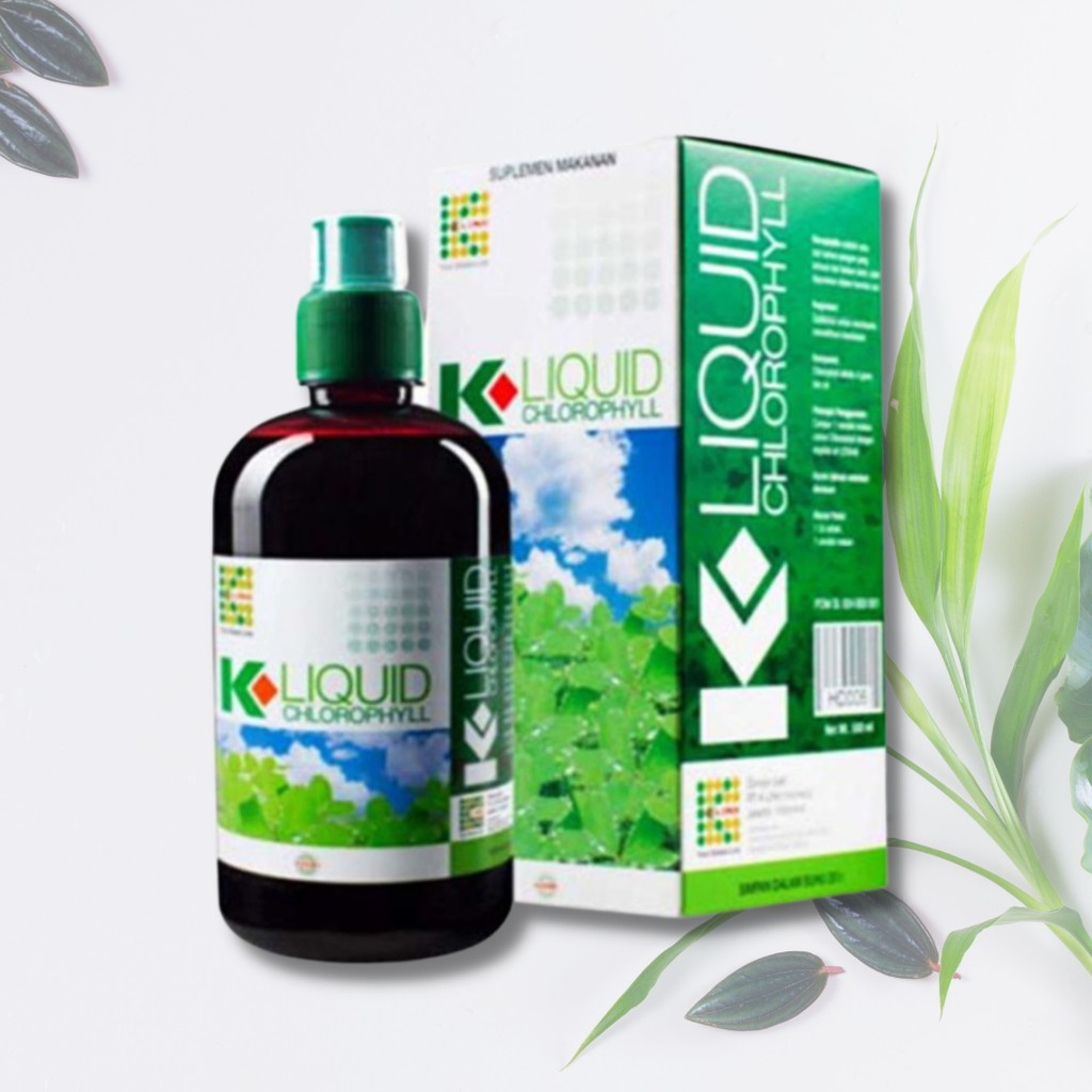 Harga Chlorofil Terbaru Desember 2022 |BigGo Indonesia