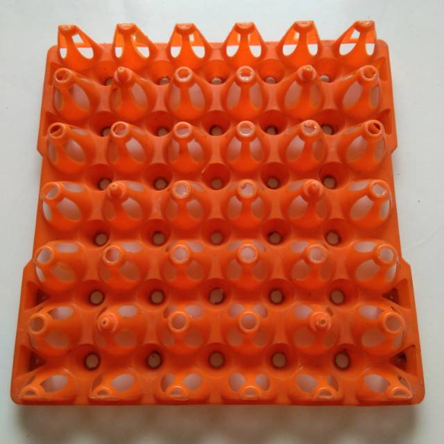 Jual Tray Telur / Egg Tray Plastik | Shopee Indonesia
