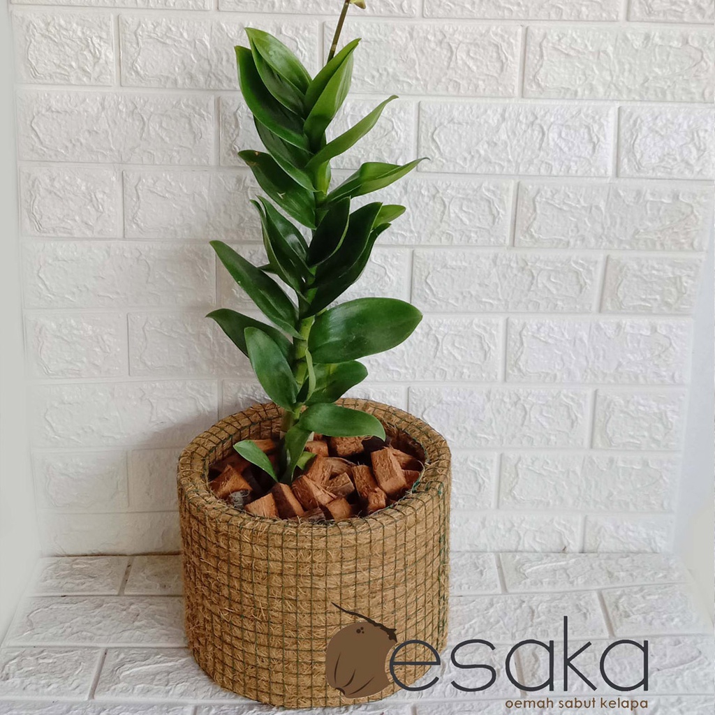 Jual Pot tanaman anggrek bunga hias sabut kelapa bulat ram besi ...