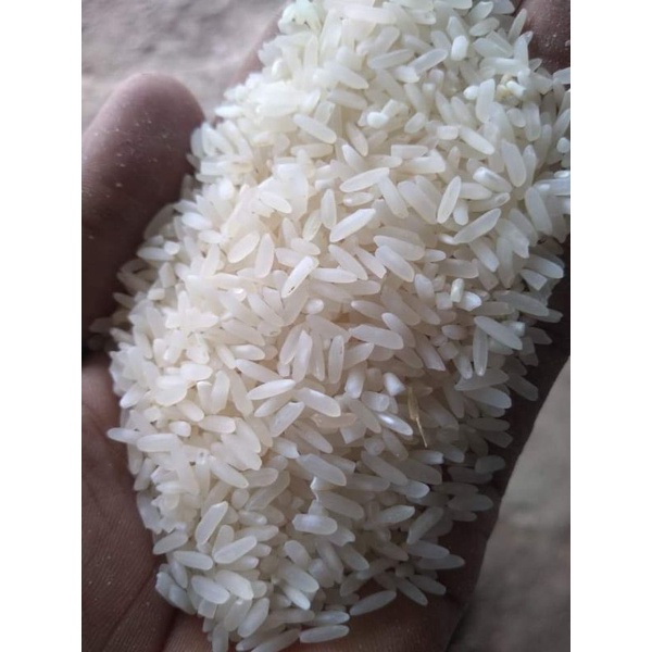 Jual beras selep sendiri 1kg | Shopee Indonesia