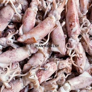 Jual ikan asin cumi rebus/ sotong rebus size jumbo 1kg Indonesia|Shopee ...