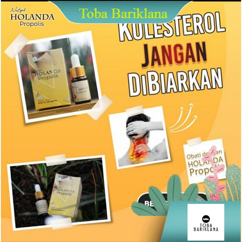 Jual HOLANDA PROPOLIS ORIGINAL 10ML | Shopee Indonesia