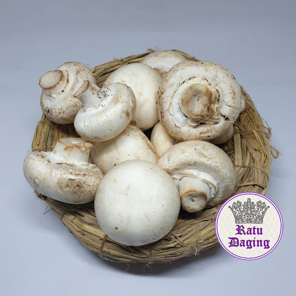 Jual Jamur Champignon Fresh Jumbo / Jamur Kancing Jumbo Besar 1kg ...
