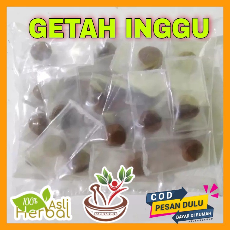 Jual GETAH INGGU | Shopee Indonesia