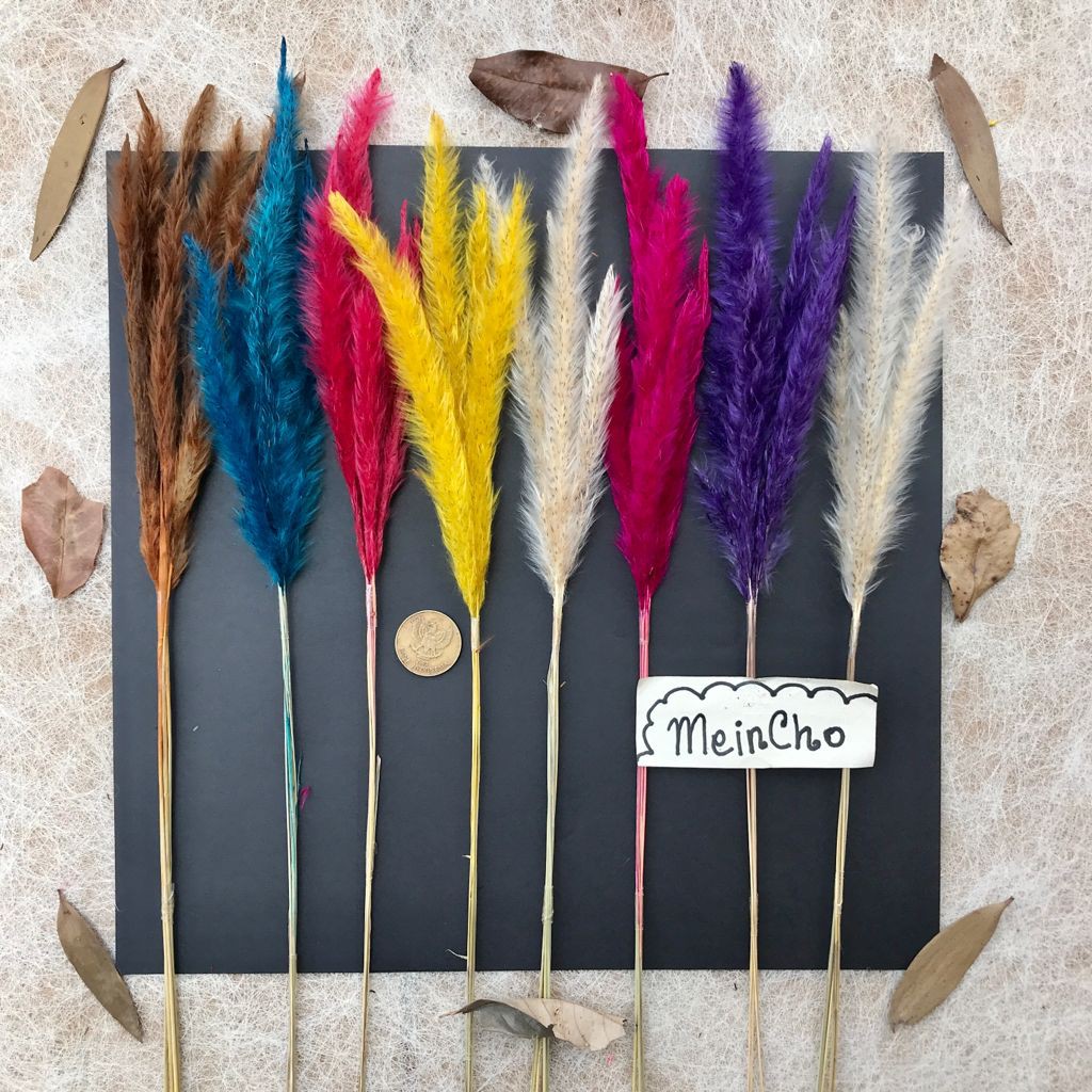 Jual (5 tangkai) Bunga Kering Ilalang Pampas Lokal Alang Alang Dried ...