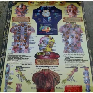 Jual Poster Bekam Petunjuk Titik Titik Bekam Yang Harus Di Ke Sitdyo ...