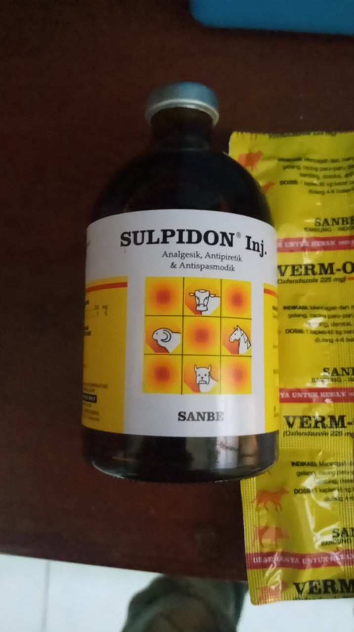 Sulpidon 100 ml Obat analgesik Antipiretik PT Sanbe Farma | Shopee ...
