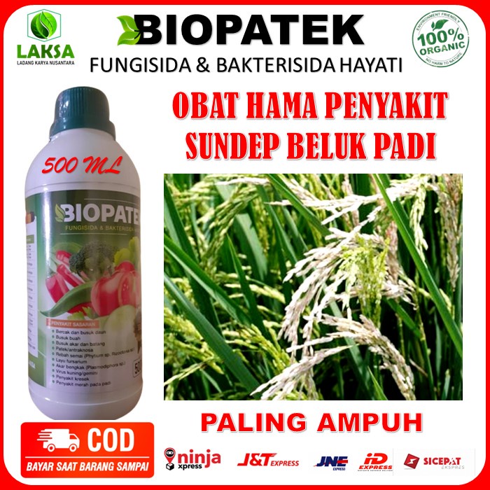 Jual PROMO Obat sundep Padi Biopatek - Biopatek 500 ML Obat Semprot Atasi Penyakit Sundep Padi ...