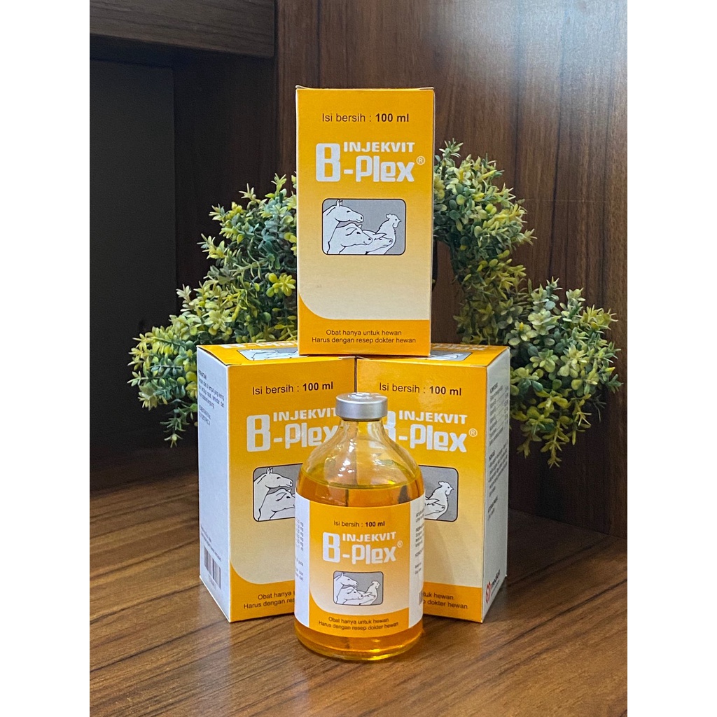 Jual INJEKSI VITAMIN B-KOMPLEKS 100 ml | Shopee Indonesia