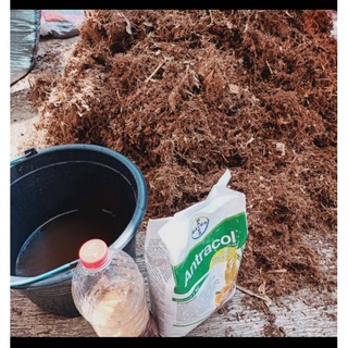 Jual Humus akar bambu, humus organik murni, super subur,metan premium ...