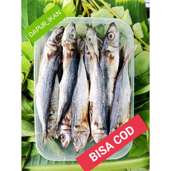 Jual IKAN KLOTOK | IKAN ASIN LAYANG PER 1KG ( Asin Muda ) KAMI JAMIN ...