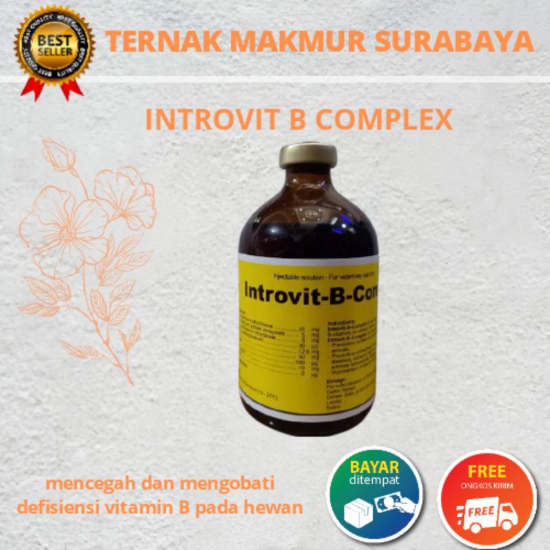 Harga Introvit-B-Complex Terbaru Januari 2023 |BigGo Indonesia