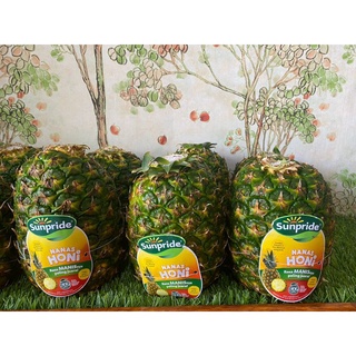 Jual Buah nanas sunpride honi|nanas|nuri fruits|buah segar bandung ...