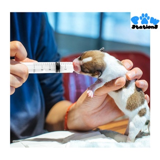 Jual Spuit Sepet Spet Kucing Anjing Suntikan 3cc Suntikan 3ml Jarum ...