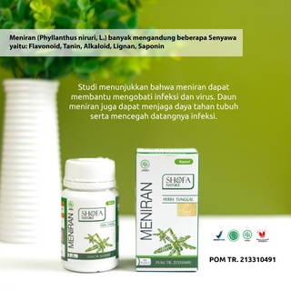 Jual Meniran Ekstrak Herbal 60 Kapsul Obat Daya Tahan Tubuh Suplemen ...