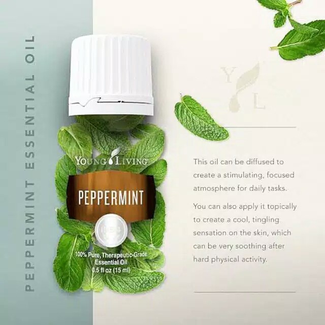 Jual Peppermint Young Living Essential Oils - 5 Ml | Shopee Indonesia